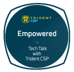Microsoft – Trident Corporation