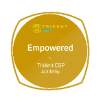 Microsoft – Trident Corporation